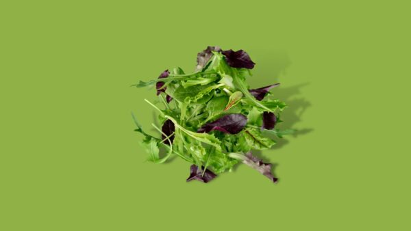 Slasoorten - Boerdereike