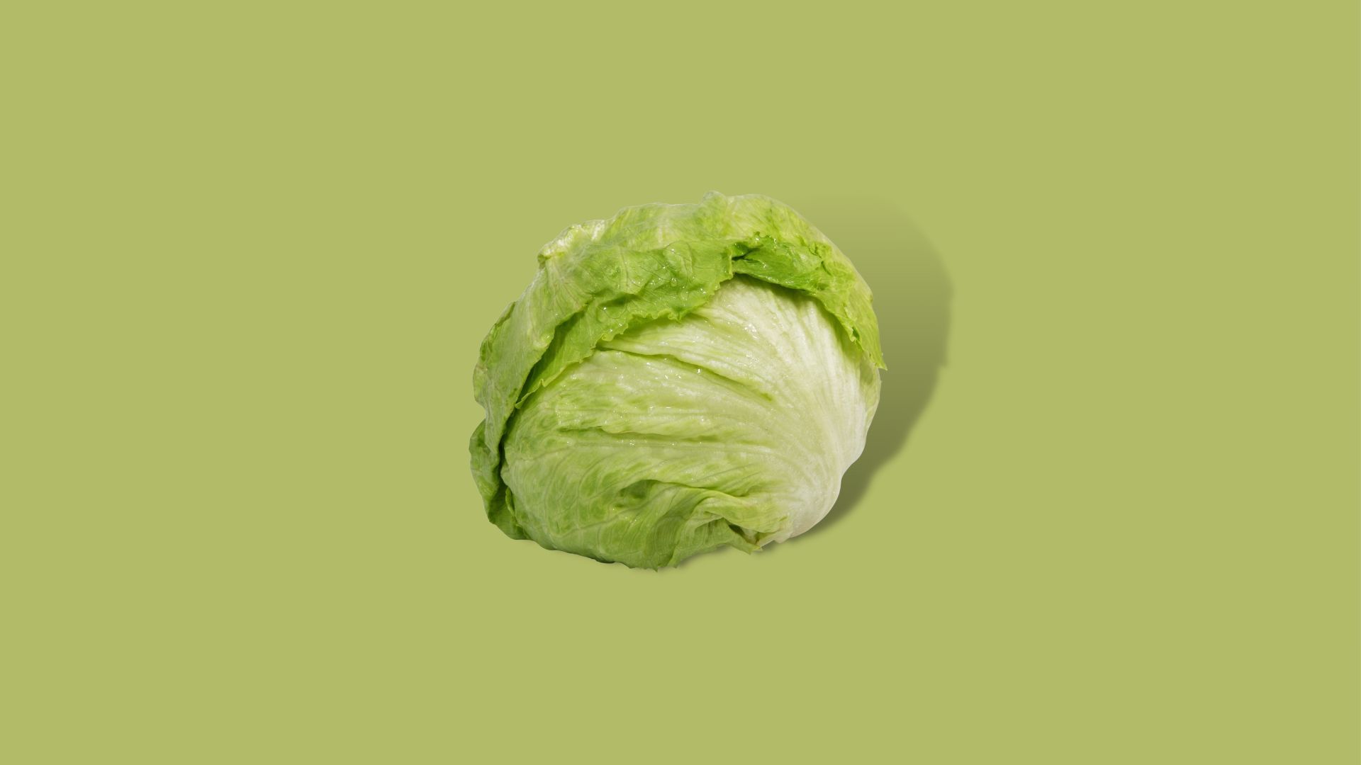 Ijsbergsla - Boerdereike