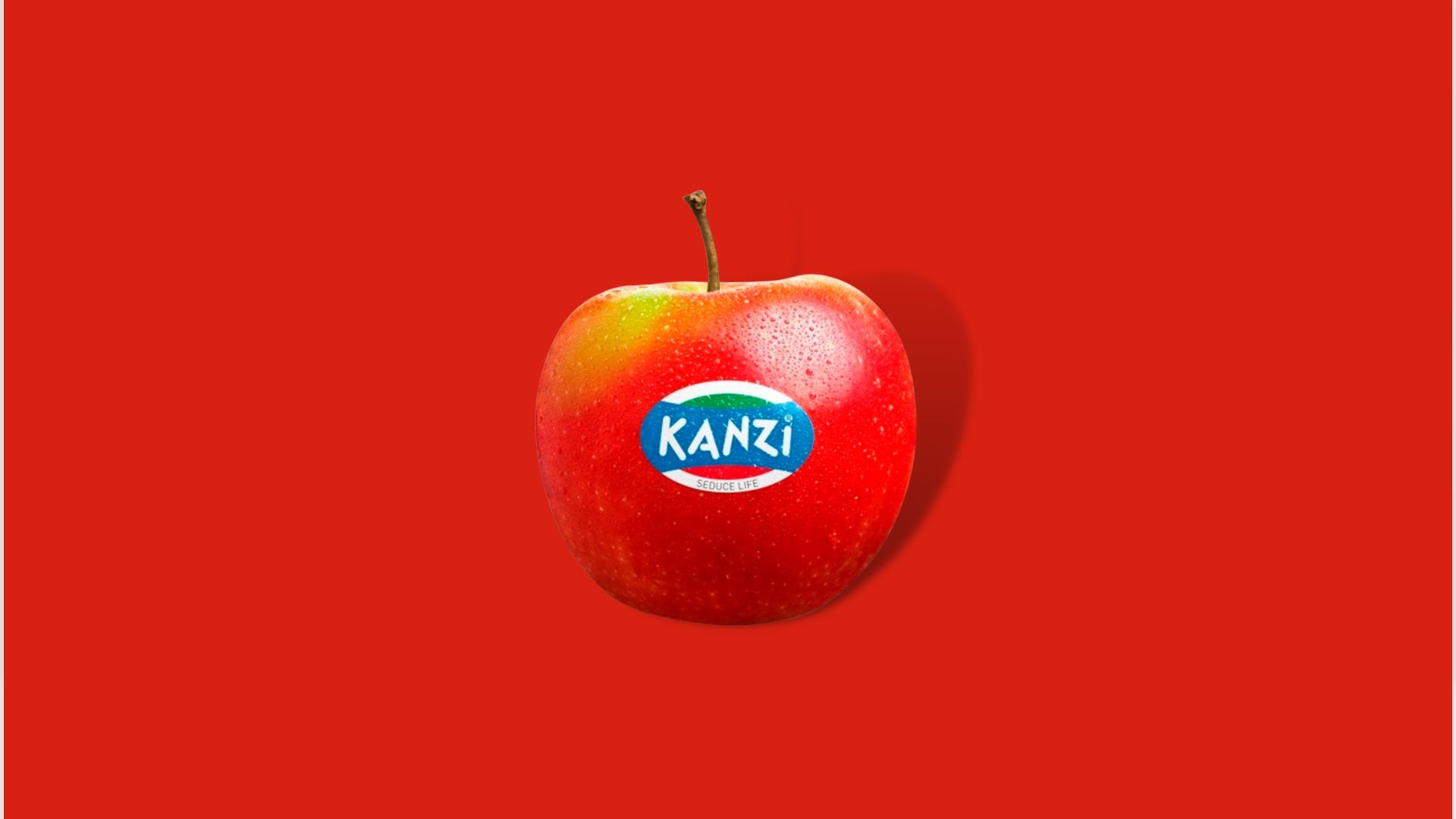 Kanzi - Boerdereike