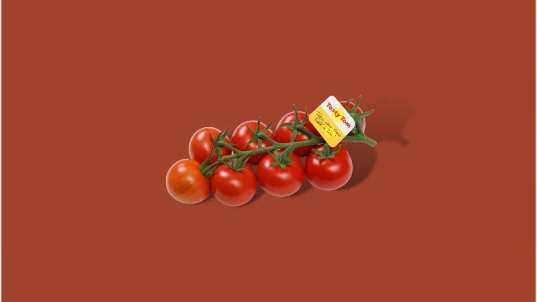 Tasty tom tomaten - Boerdereike